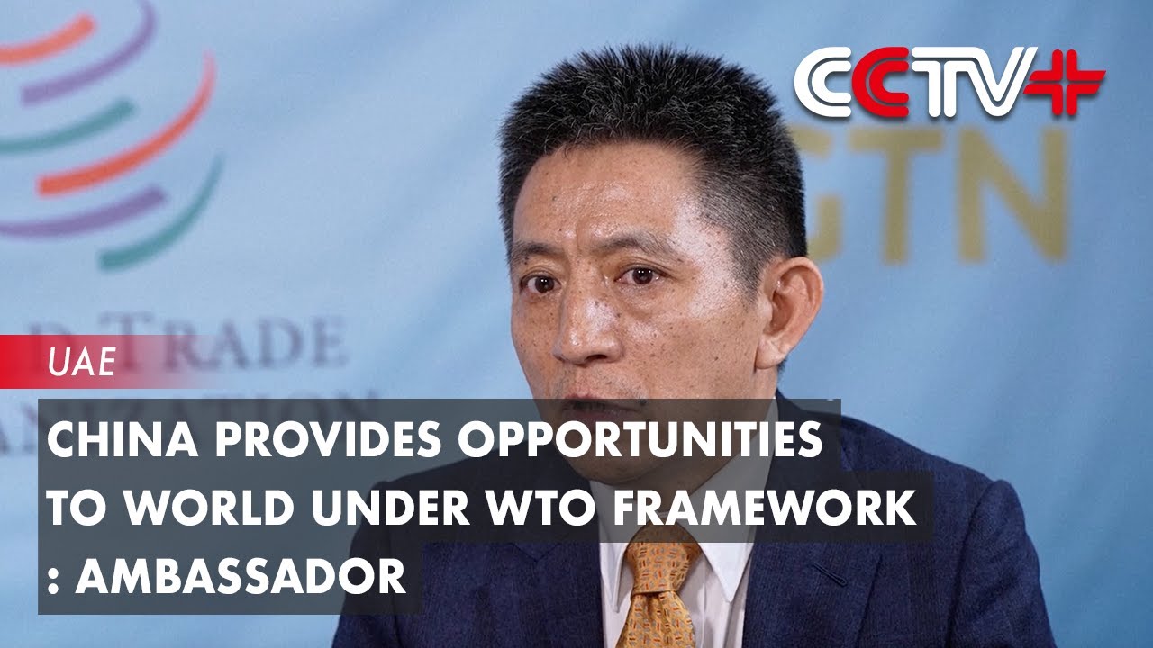 China Provides Opportunities to World under WTO Framework: Ambassador ...