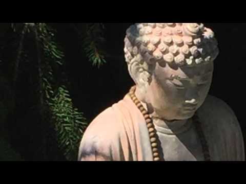 Dharma Talk The 12 Nidanas Part 1 - YouTube