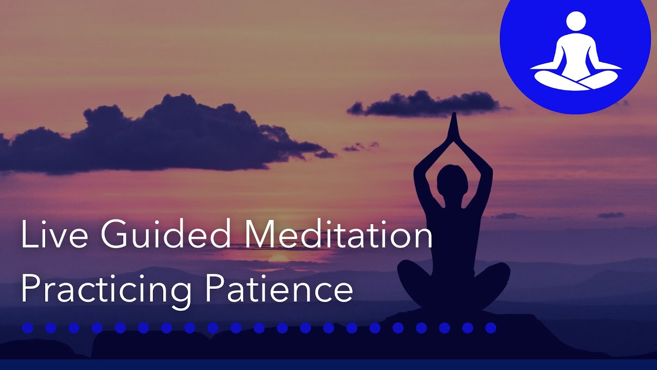 Live Guided Meditation Practicing Patience - YouTube