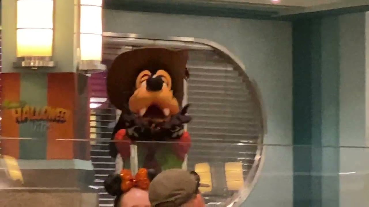 Goofy Disney World - YouTube