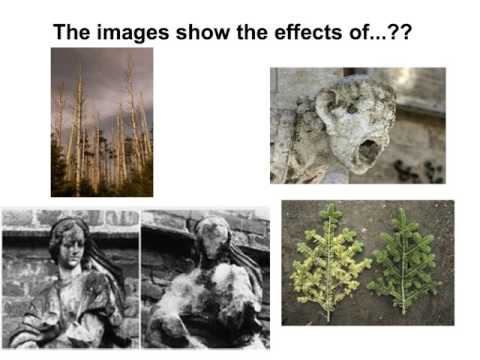 How Does Calcium Carbonate Neutralize Acid Rain