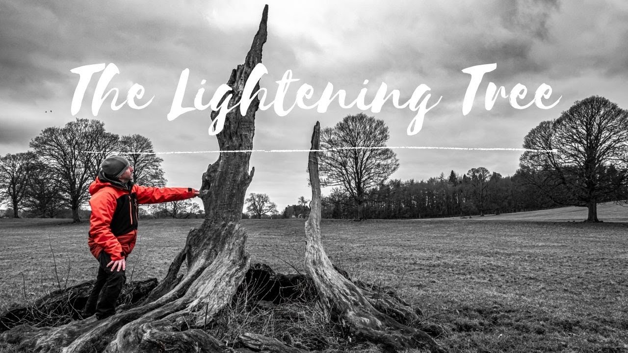 The Lightening Tree | A Photographic Gem in the Landscape - YouTube