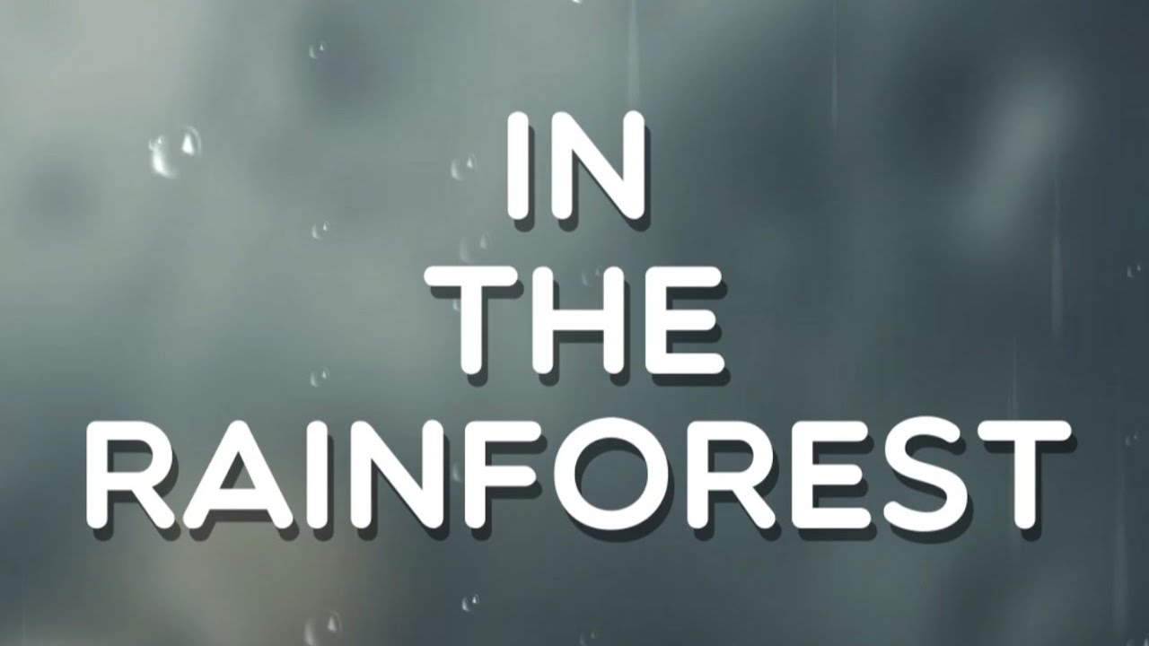 In the rainforest, Level 718, Word Crush Answers, FullHD 60 fps. - YouTube