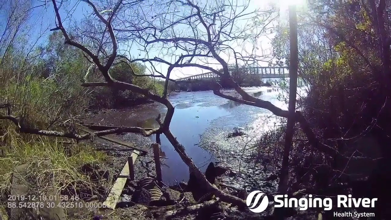 K9 Officer Jester Tracks Down a Criminal - YouTube