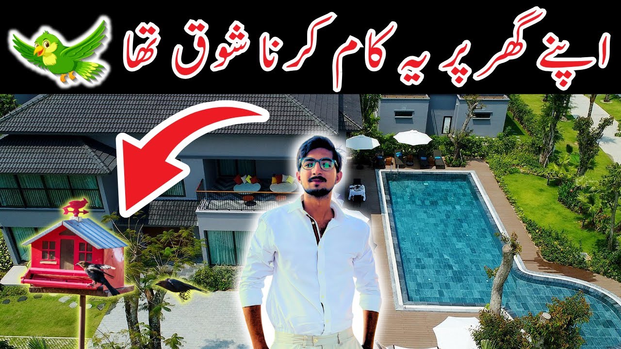 Birds vs. Humans Who's the Real Winner in This Epic Battle? - YouTube