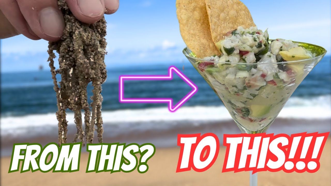 HOW TO FIND & SURF FISH with LIVE SAND WORMS! CATCH & COOK CORBINA ...