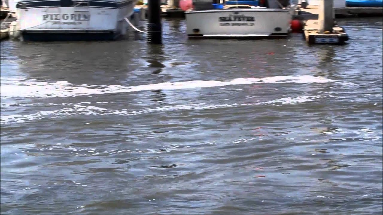 Santa Barbara Harbor Tsunami Surge 3-11-2011 - YouTube