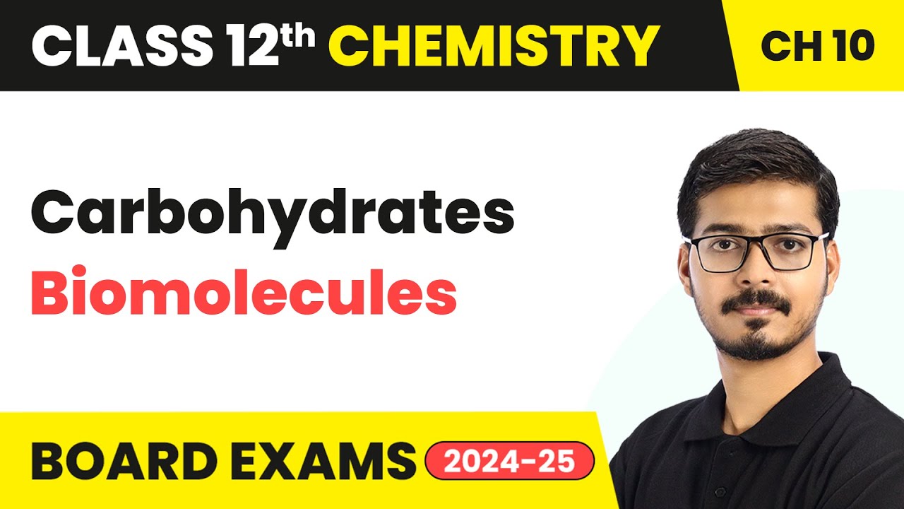 Carbohydrates - Biomolecules | Class 12 Chemistry Chapter 10 | CBSE ...