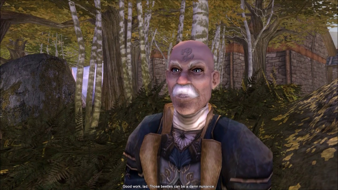 BEST ARMOUR/WEAPONS BEFORE FINISHING GUILD TRAINING - FABLE TLC - YouTube