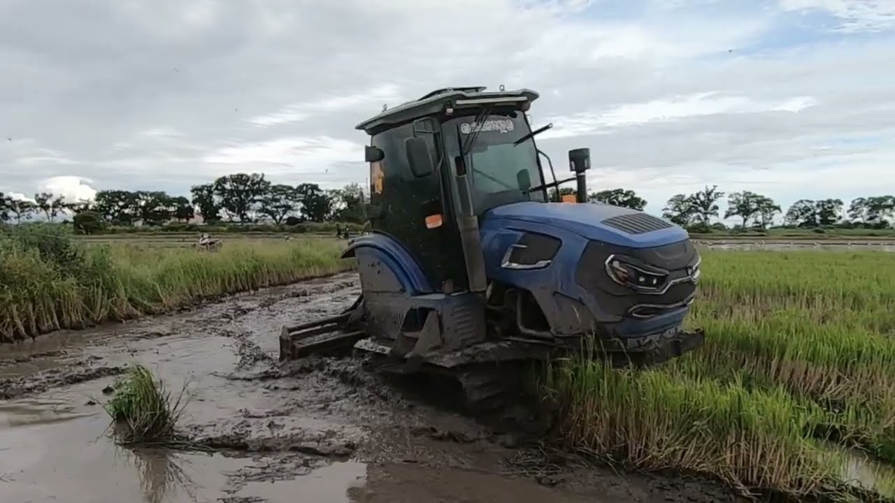 Tractor Membajak sawah padi di Kedah - YouTube