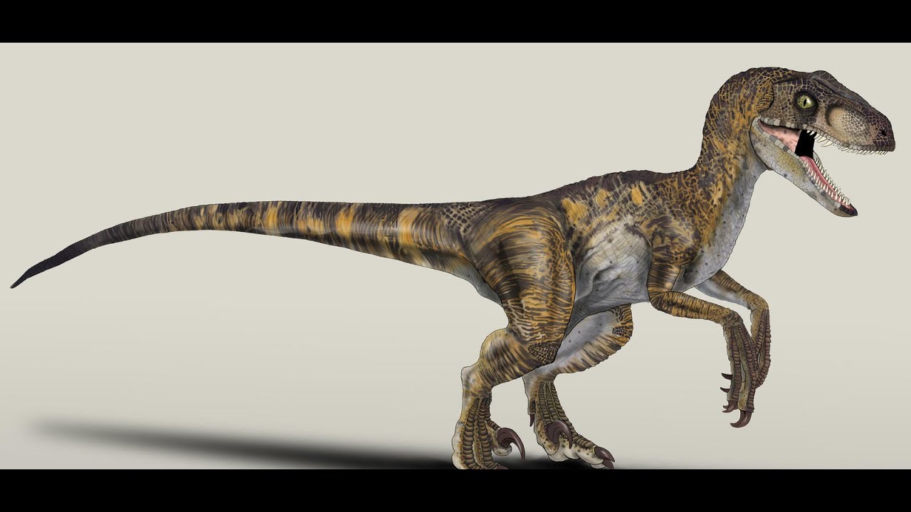 Mickey Sans is live! - YouTube