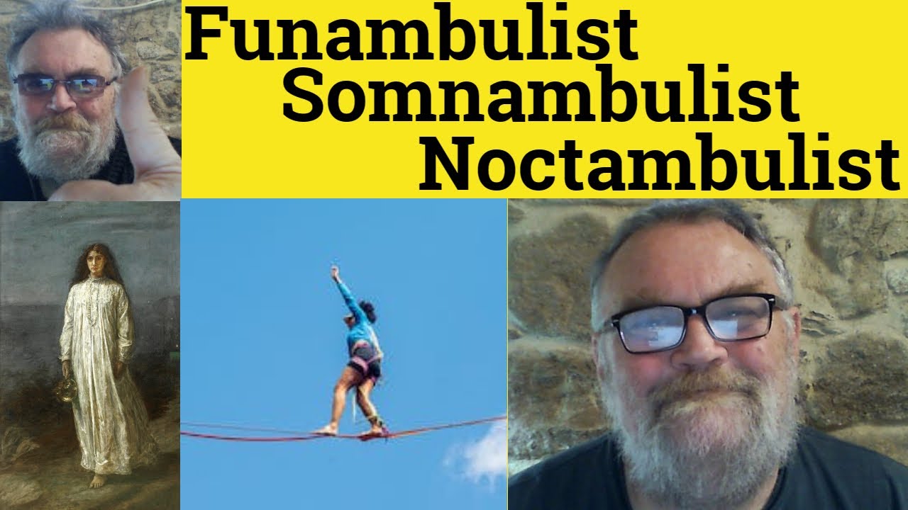 🔵 Funambulist Meaning - Somnambulist Examples - Noctambulist Definition ...