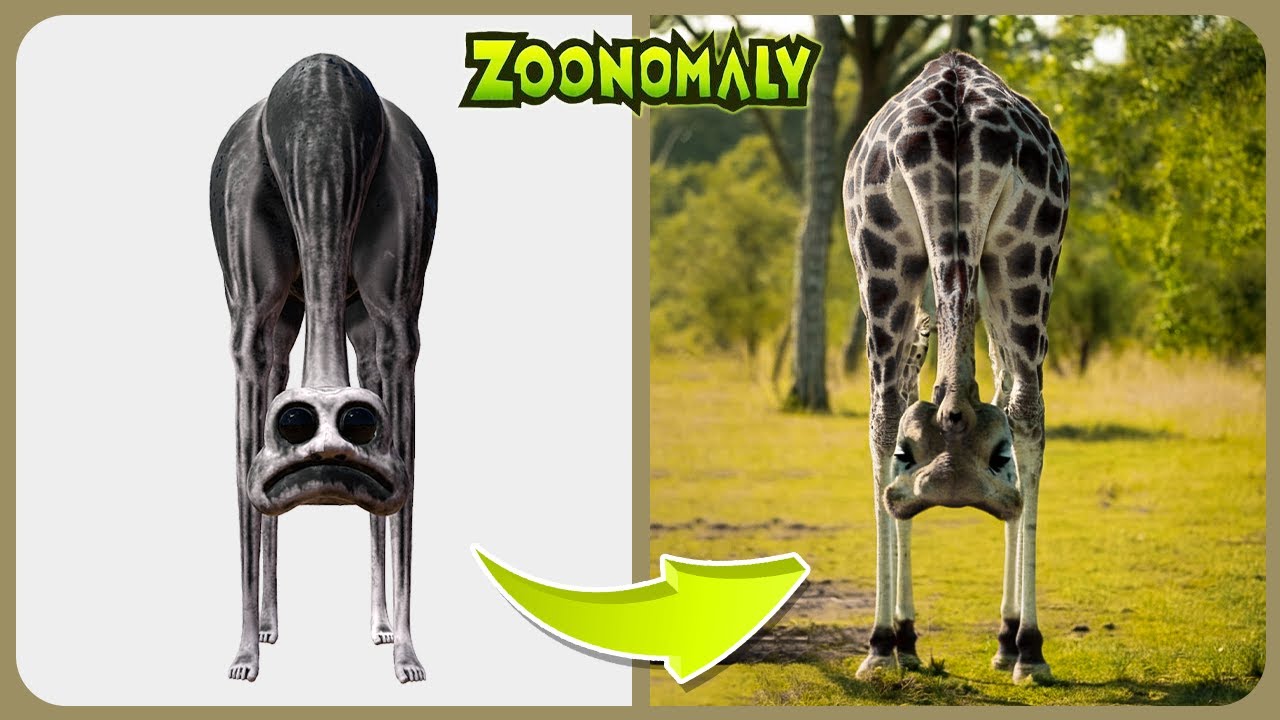 Zoonomaly - Game VS Real Life | All Character Comparison - YouTube