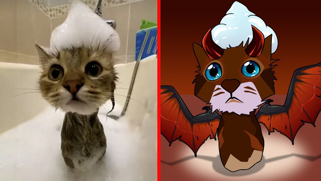 30 minutes of Funny Cats and Dogs Videos 😅 Don't let your cat get angry ...