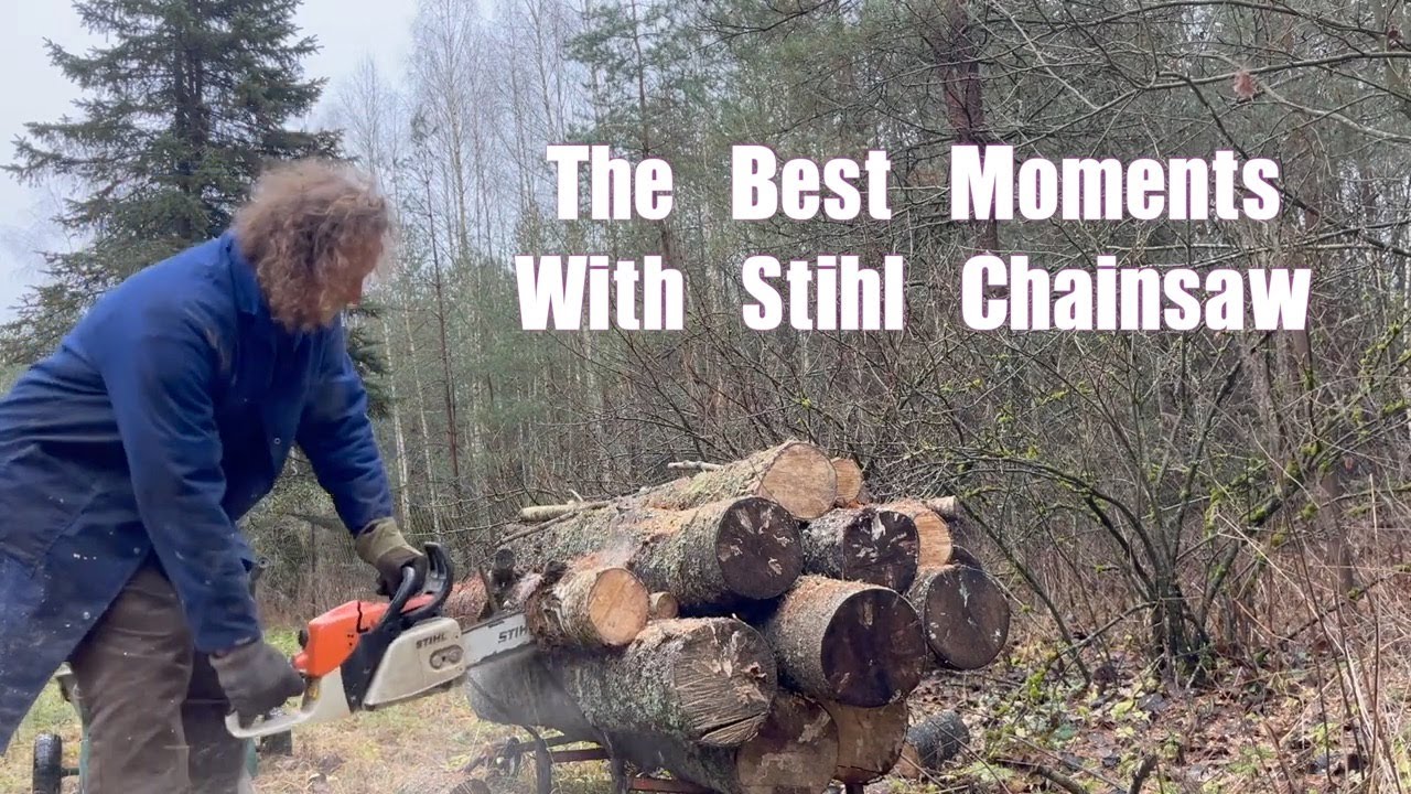 Real STIHL Chaisaw Power in Action | Best Moments of My Day 🔥 - YouTube