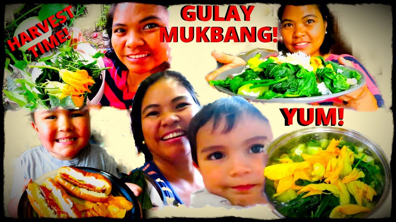 BUHAY AMERIKA: MAMITAS TAYO NG GULAY SA GARDEN/ FREE VEGETABLES SA ...