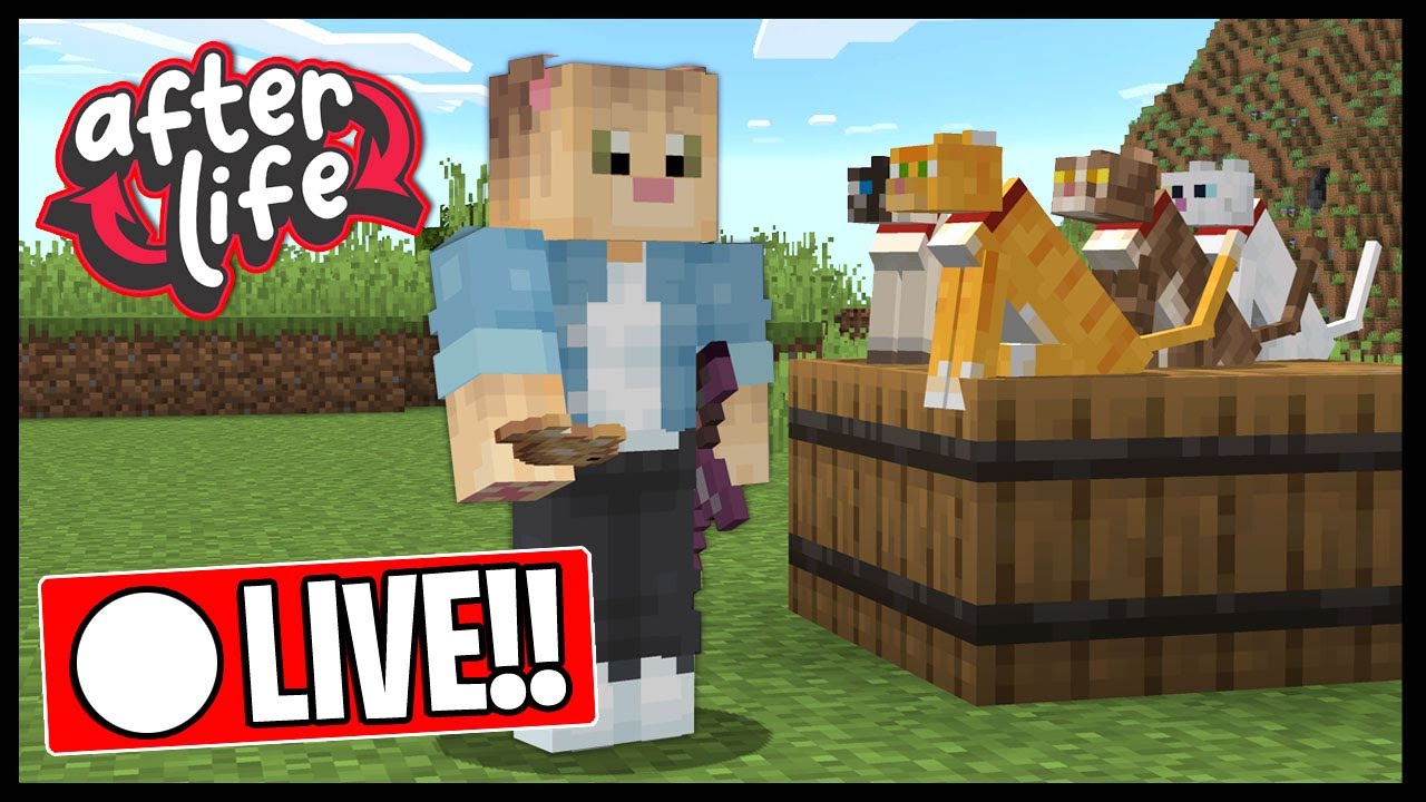 BUILDING A CAT ARMY!! | Minecraft Afterlife SMP - YouTube