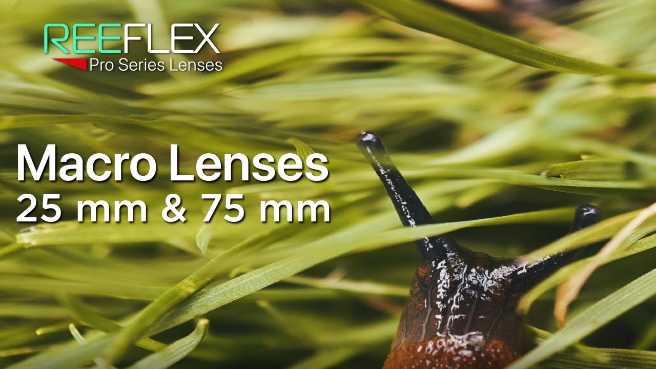 REEFLEX Macro 25mm & Long Range Macro 75mm lenses | hands-on with David ...