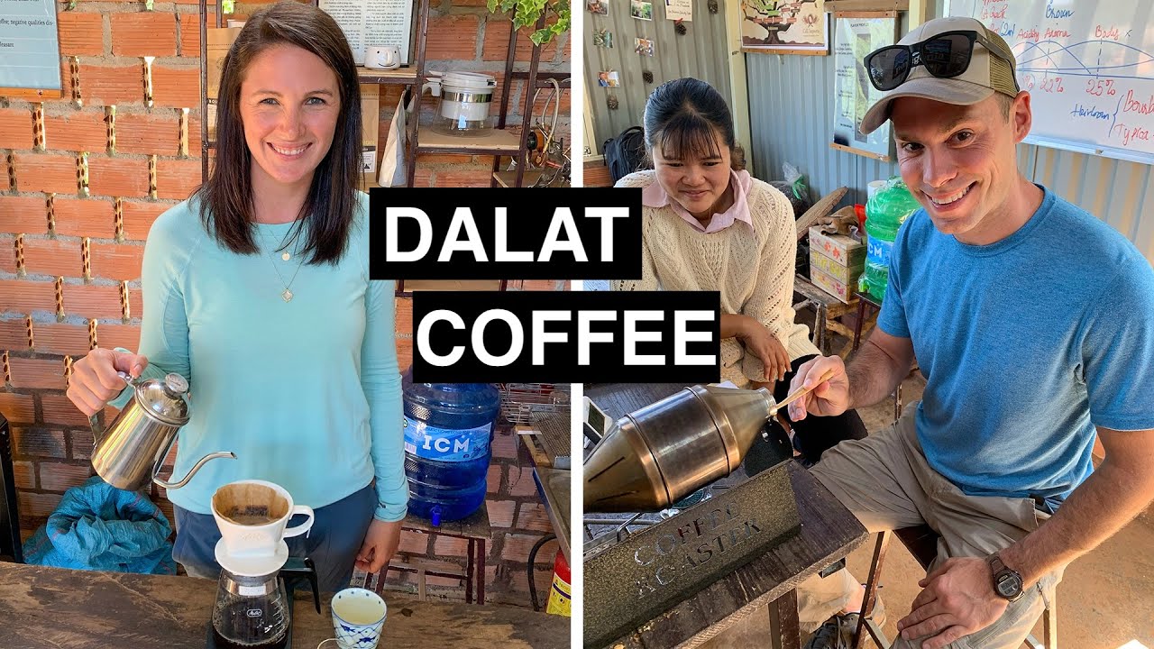 Coffee Workshop at Son Pacamara Farm | Dalat, Vietnam - YouTube