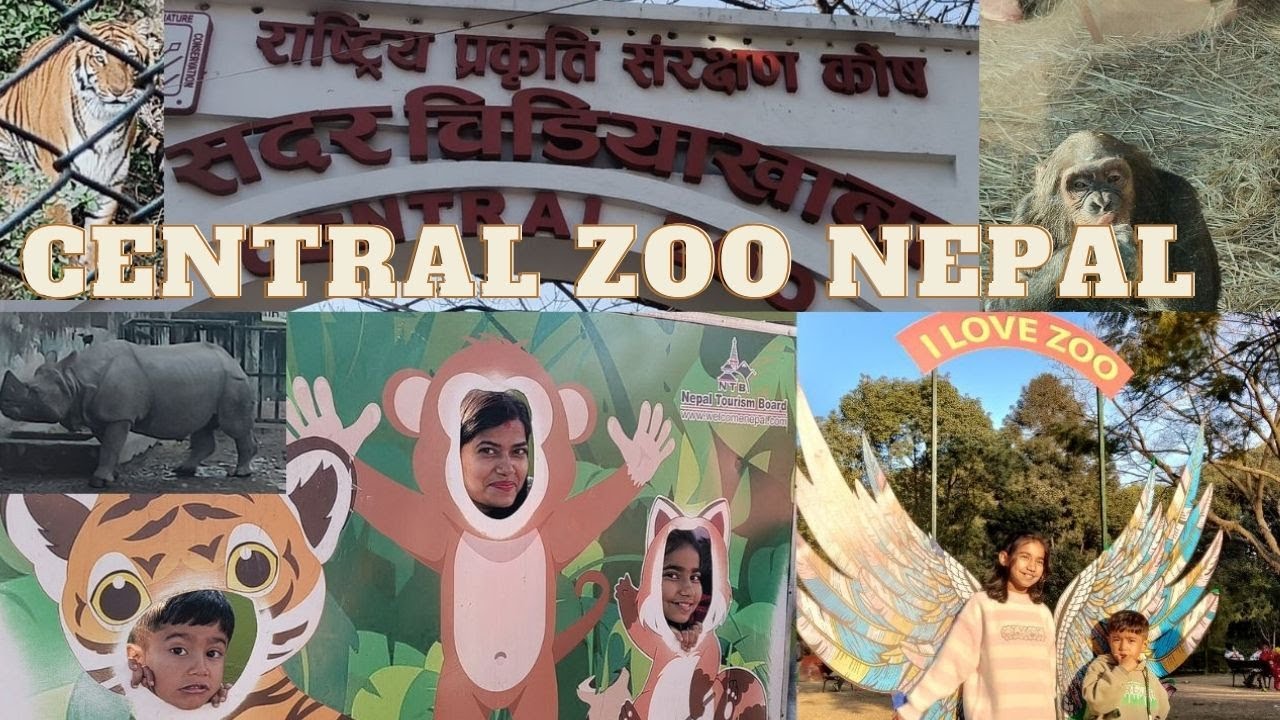 Central Zoo of Nepal | चिडियाखाना | Nepal Zoo Tour | Animals in the Zoo ...