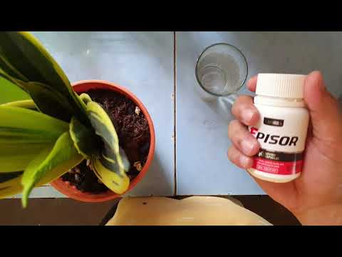 CARA CONSUME EPISOR - Episor Khas Untuk Lelaki Kuat Onani