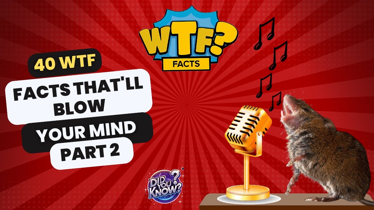 40 Mind-Blowing Facts That'll Make You Question Everything! | Weird But ...