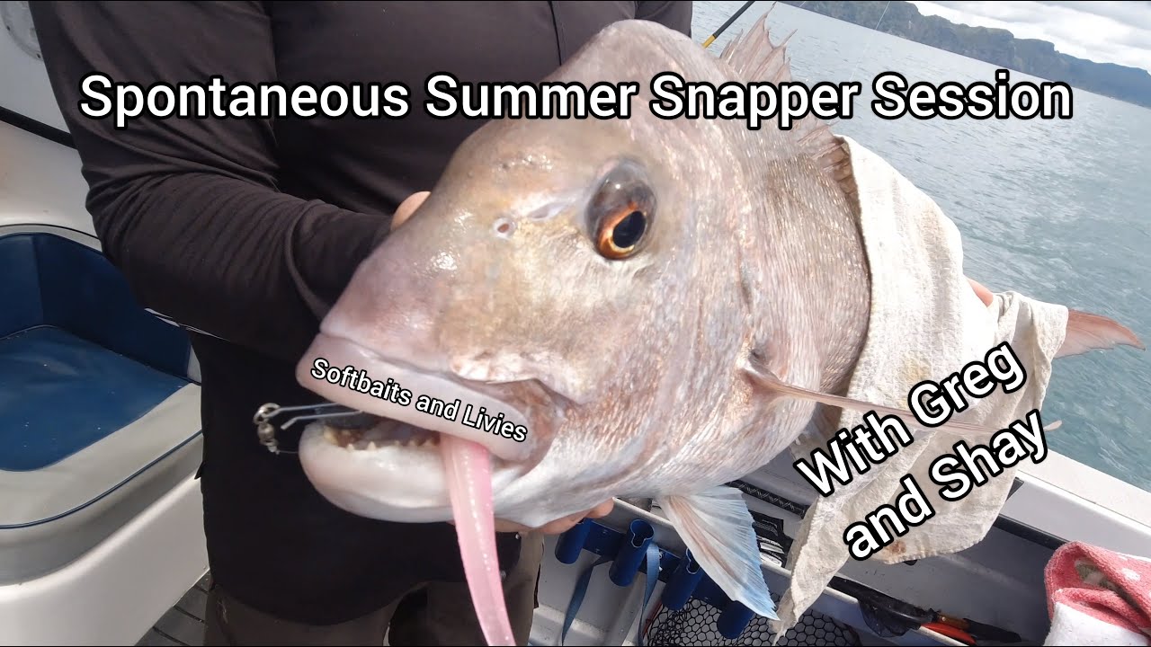 Spontaneous Summer Snapper Session ] with Greg and Shay ] - YouTube