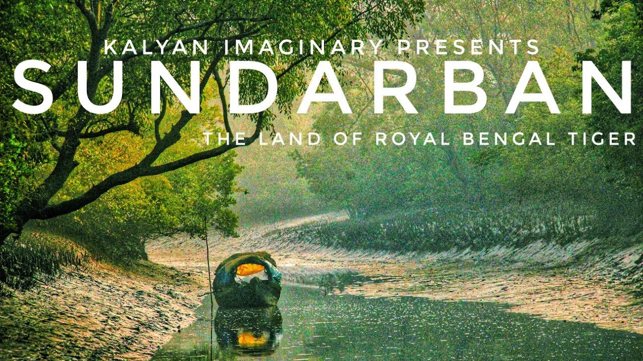 Sundarban | Sundarban Tour | Sundarban Vlog | 2 Nights 3 Days Sundarban ...