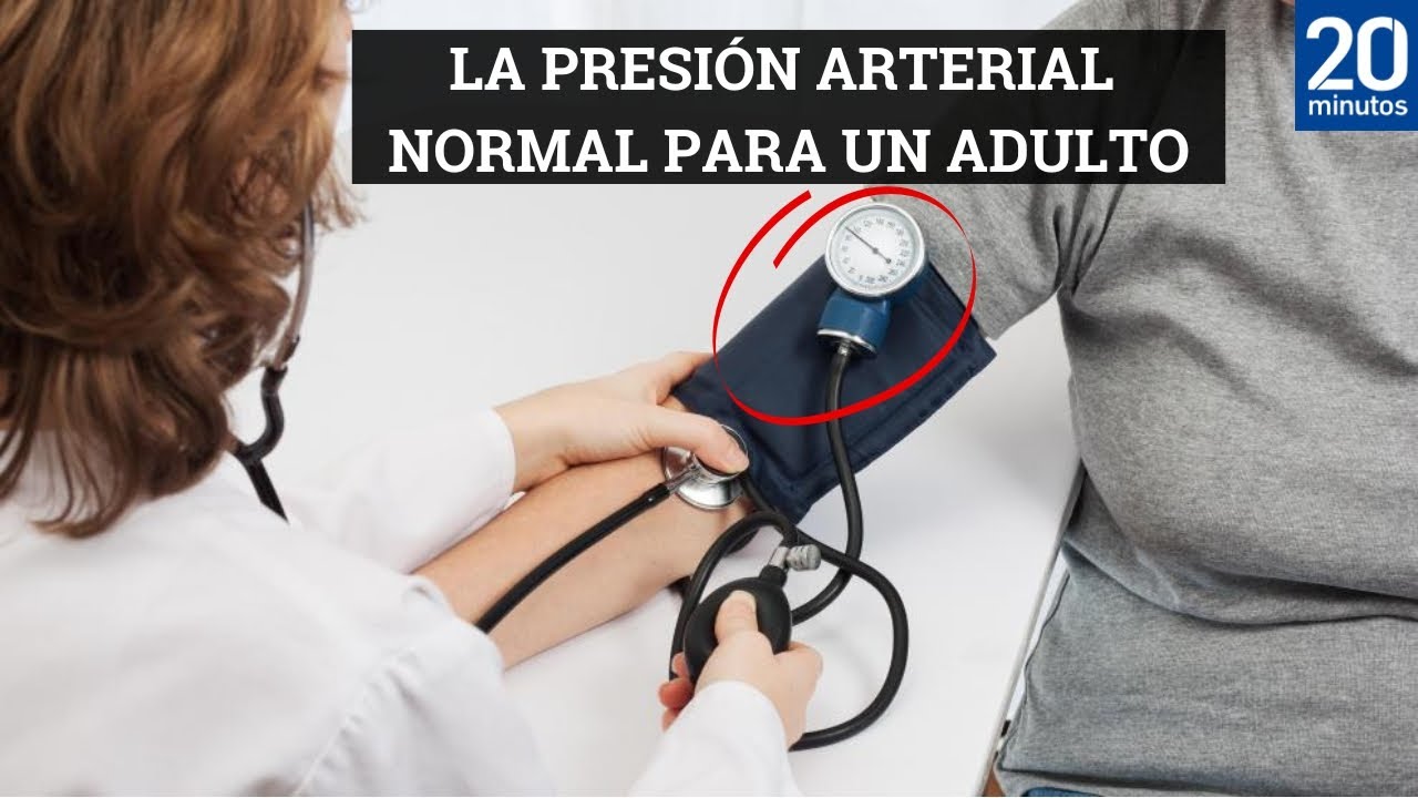 Cuál Es La PresiÓn Arterial Normal Que Debe Tener Un Adulto Según La