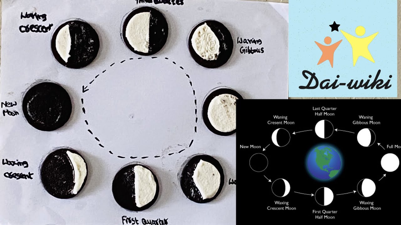 Phases Of The Moon Art With Oreo Cookies Astronomy And space phases-of-the-moon-art-with-oreo-cookies-astronomy-and-space
