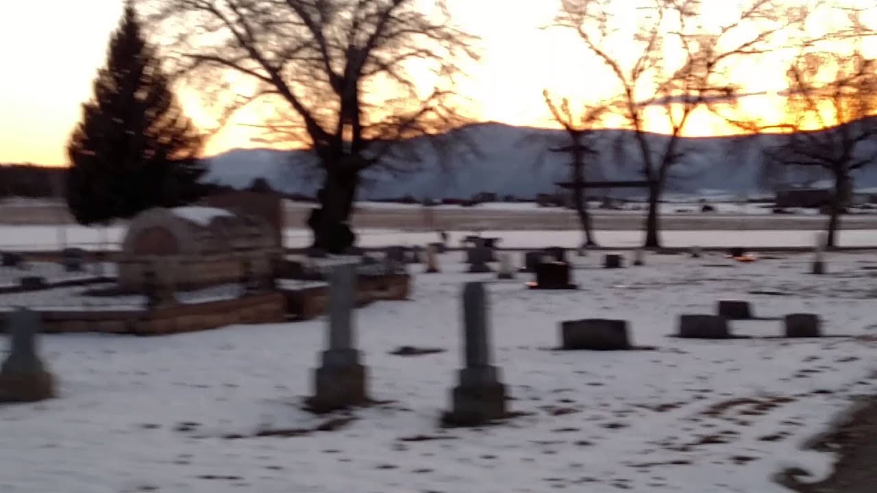 buck in cemetery 019 - YouTube