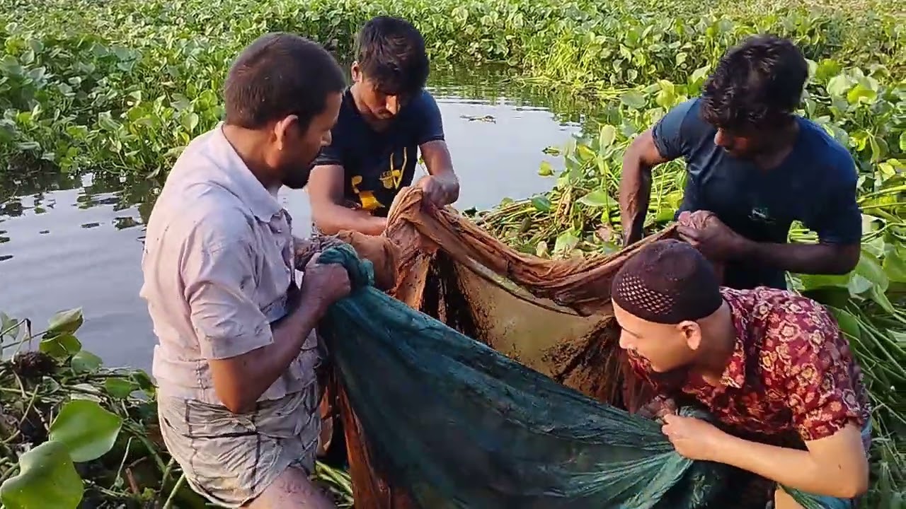 New best net fishing video | Amazing traditional net fishing video in ...