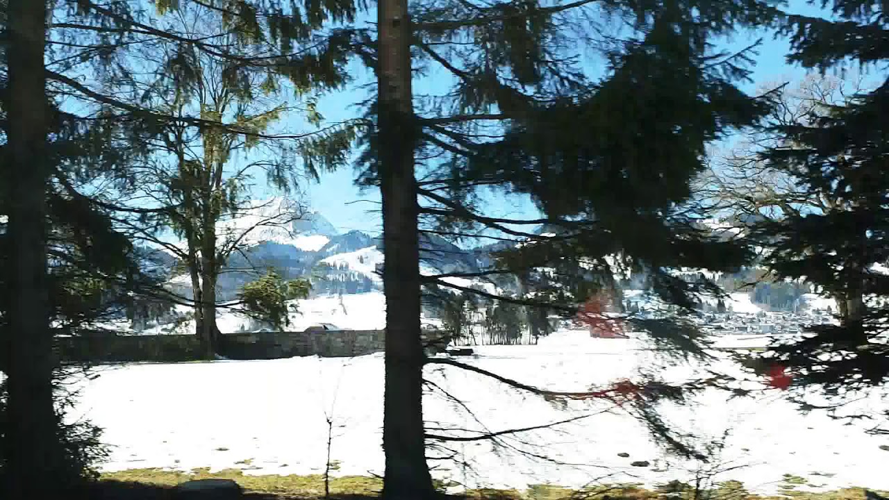 17 février 2019 - YouTube