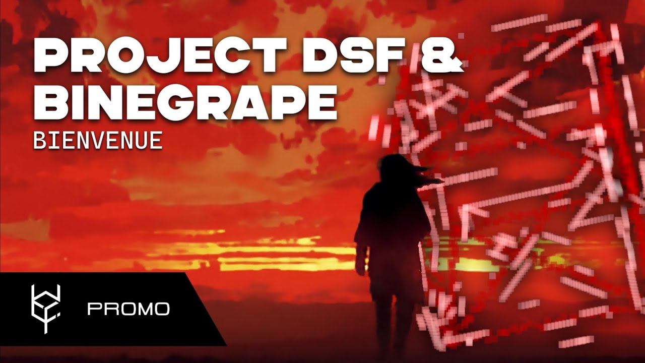 Dancefloor DnB // Project DSF & binegrape - Bienvenue // Viscettan - YouTube