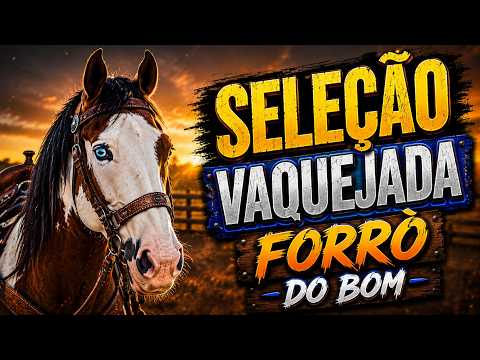 Seleção Vaquejada - 20/ 08/2026🔥 | Forró de Vaquejada Para Ouvir Sem Parar