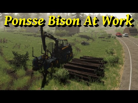 FS19 Forestry | Bison In Spruce Final Felling! | TImelapse - YouTube
