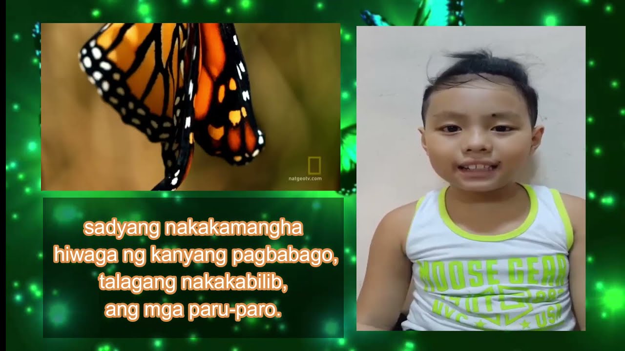 Yugto sa Buhay ng Paru paro (Life Cycle of a Butterfly) - YouTube