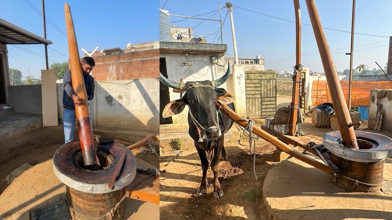 1000 years old Oil Extraction process - YouTube