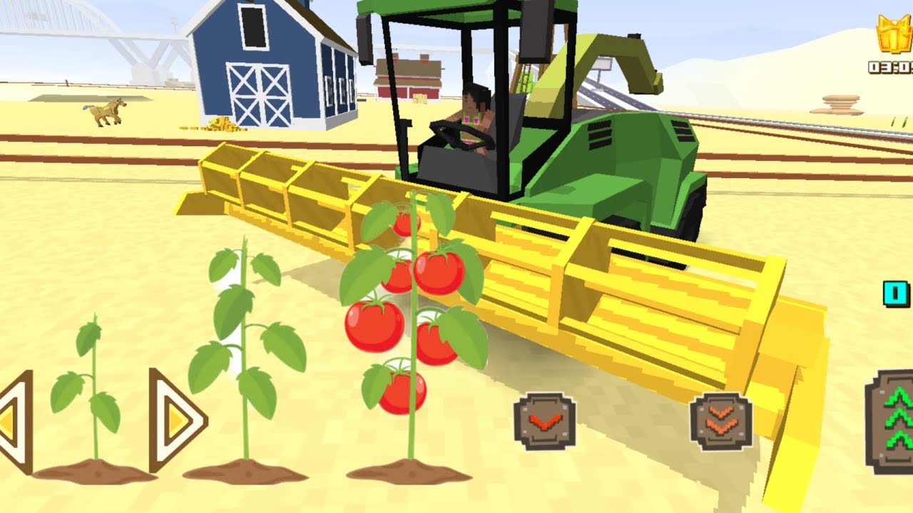 These are the stages of a tomato growing plant - Blocky Farming and ...