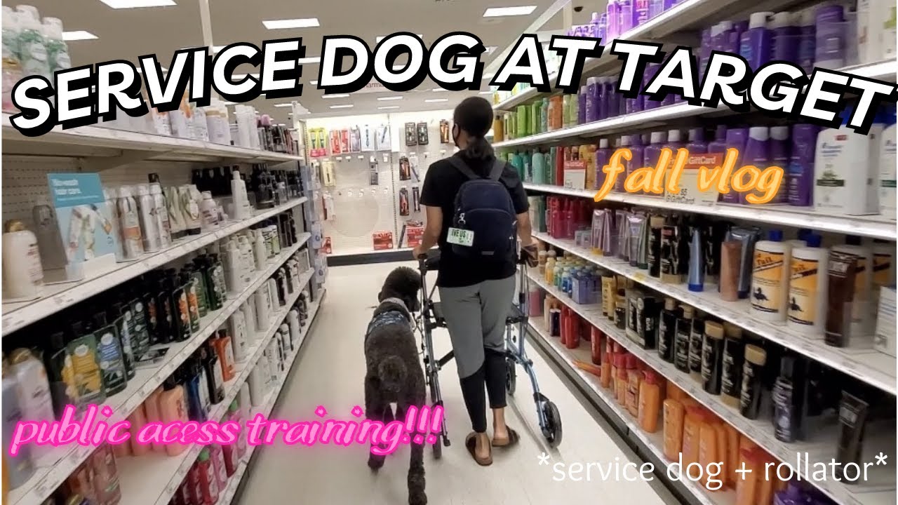 TARGET With SERVICE DOG! Vlog 2021 - YouTube