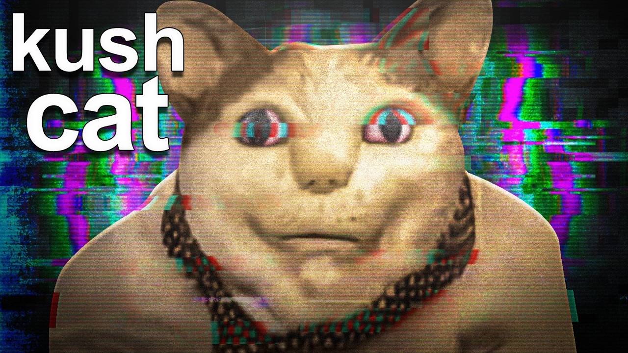 ¿QUIÉN ES ESTE GATO? | KUSH CAT - YouTube