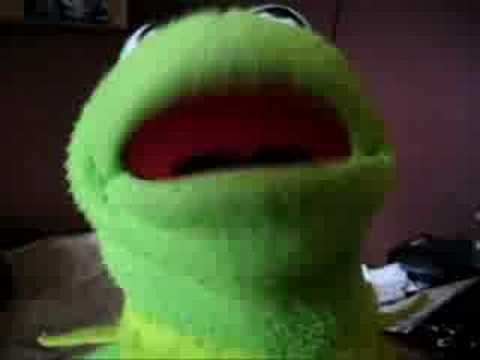 Blog With A REAL Frog - Favorite Girl Youtubers - YouTube