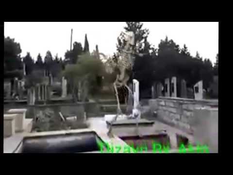 Rehim qocayevin vidyosu
