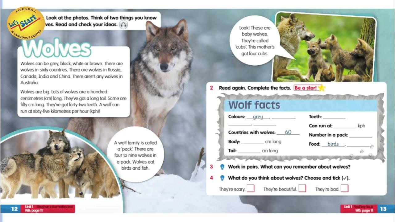 ACADEMY STARS 2 UNIT 1 WOLVES - YouTube