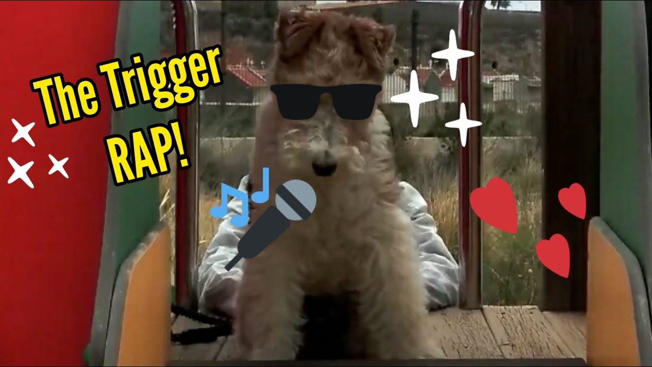 The Trigger Rap! - YouTube
