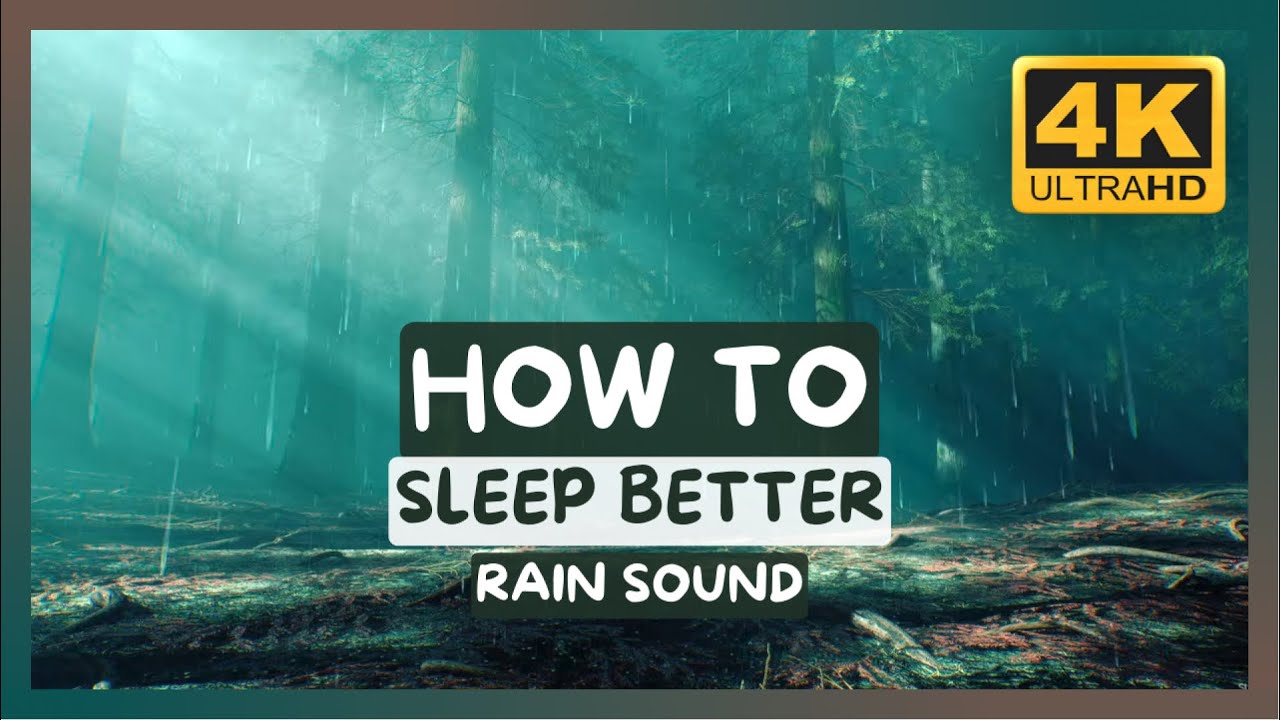 How to Sleep Better | Rain Ambiance in The Forest | Natural Rain Sound ...