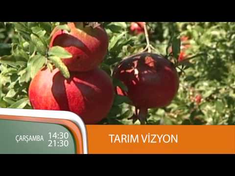 TARIMVİZYON meyvecilik çrş tanıtım
