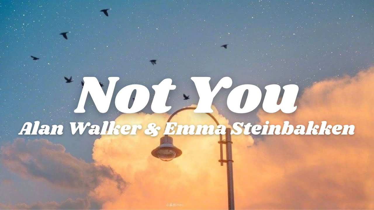 Not You — Alan Walker & Emma Steinbakken (lirik lagu) - YouTube