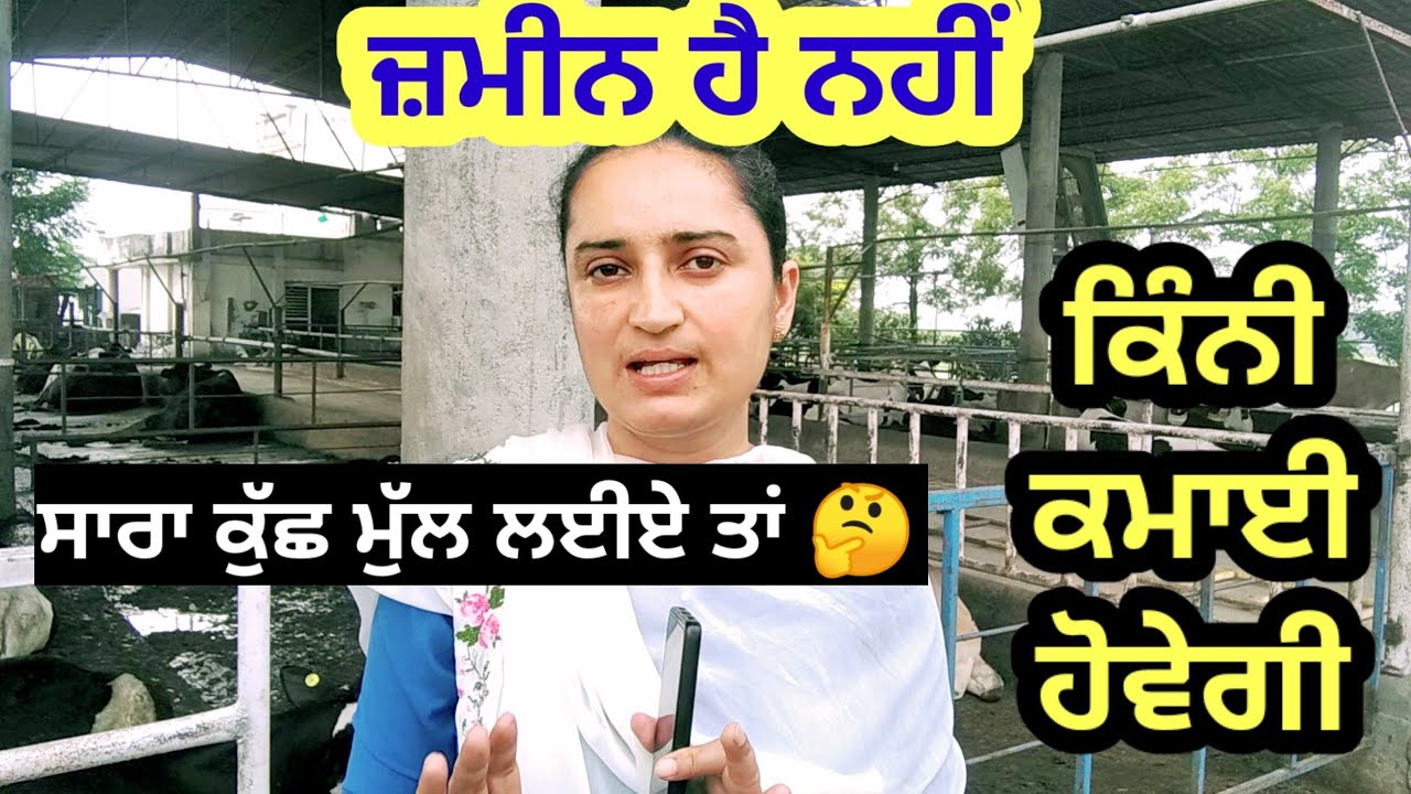 jis kol Zameen nhi oh DAIRY FARM kr sakda hai k nhi - YouTube