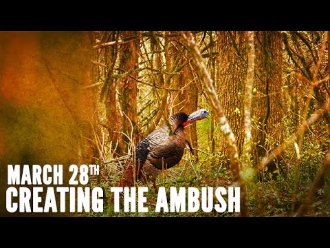 Cabela's Spring Thunder | Intense Tennessee Turkey Hunt -- Tips for ...